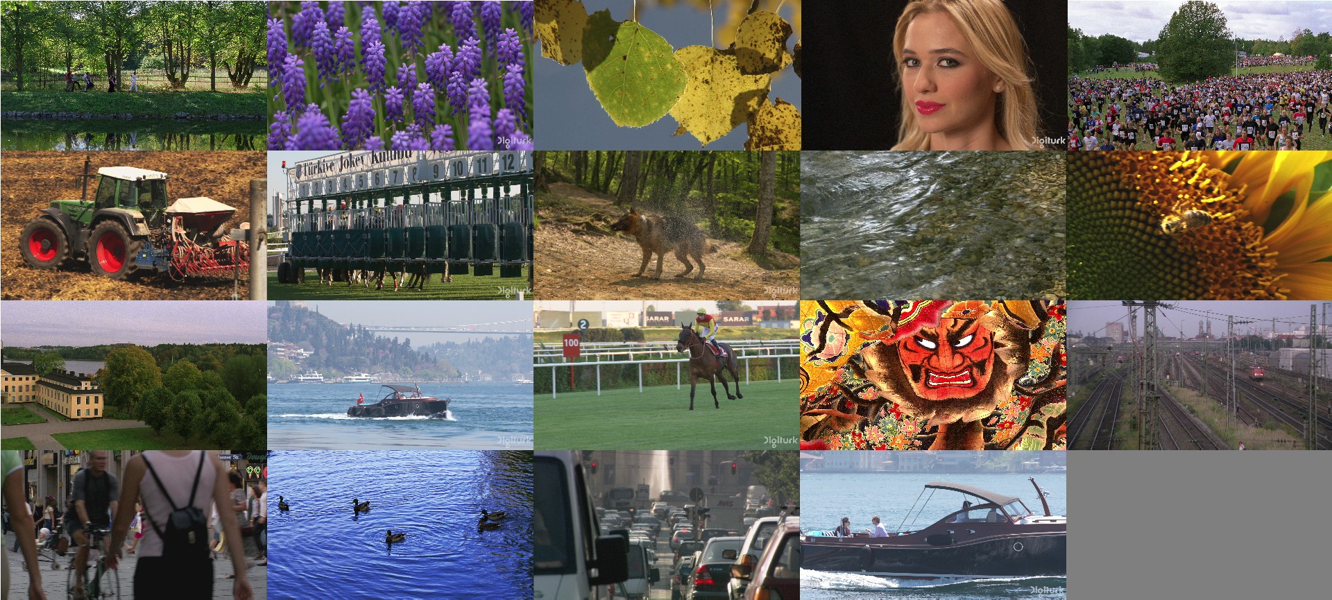 Interpretation of objective video quality metrics | Elecard: Video ...