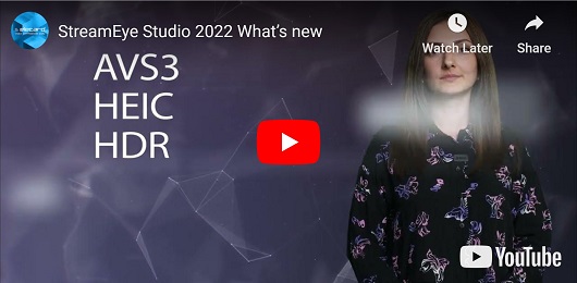 视频质量分析，编解码器调试软件，用于自动化，批量执行的hevc分析器 | Elecard: Video Compression Guru